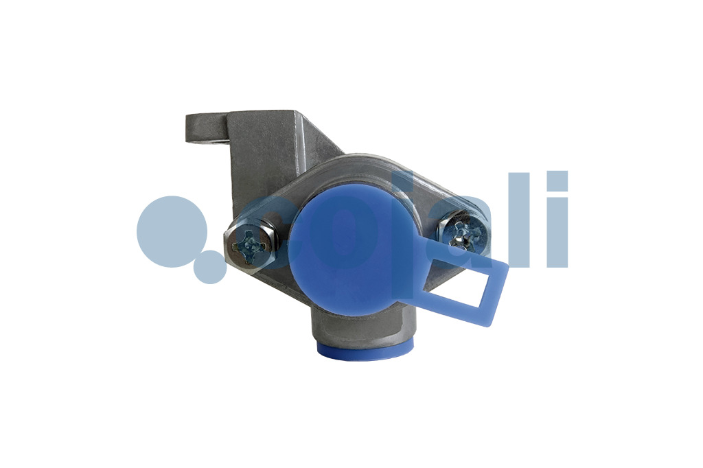 2991089 | 278614 | CHECK VALVE - Cojali Parts
