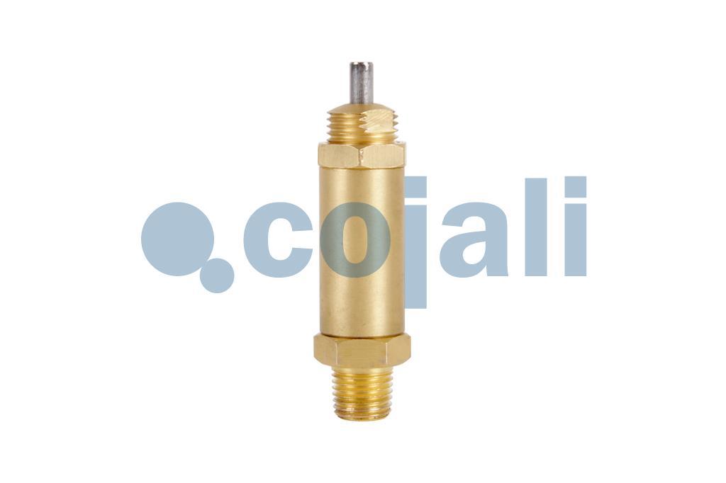 2991104 | 205105 | SAFETY VALVE - Cojali Parts