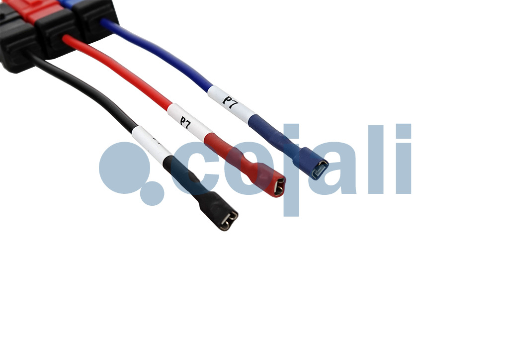 50003012 | 50003012 | TESTING MULTIPIN KIT - Cojali Parts