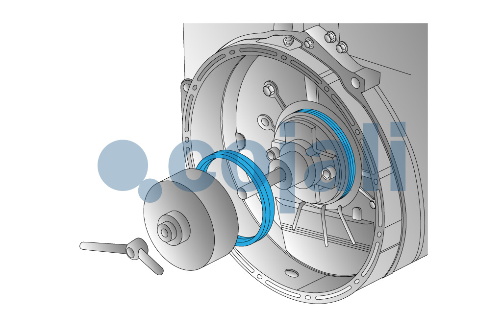 50105170 | 88800619 | TOOL TO ASSEMBLE THE REAR CRANKSHAFT SEAL ...