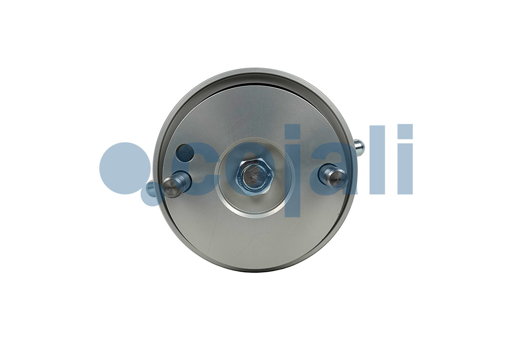 50105198 | 88800561 | TOOL TO ASSEMBLE THE REAR CRANKSHAFT SEAL ...