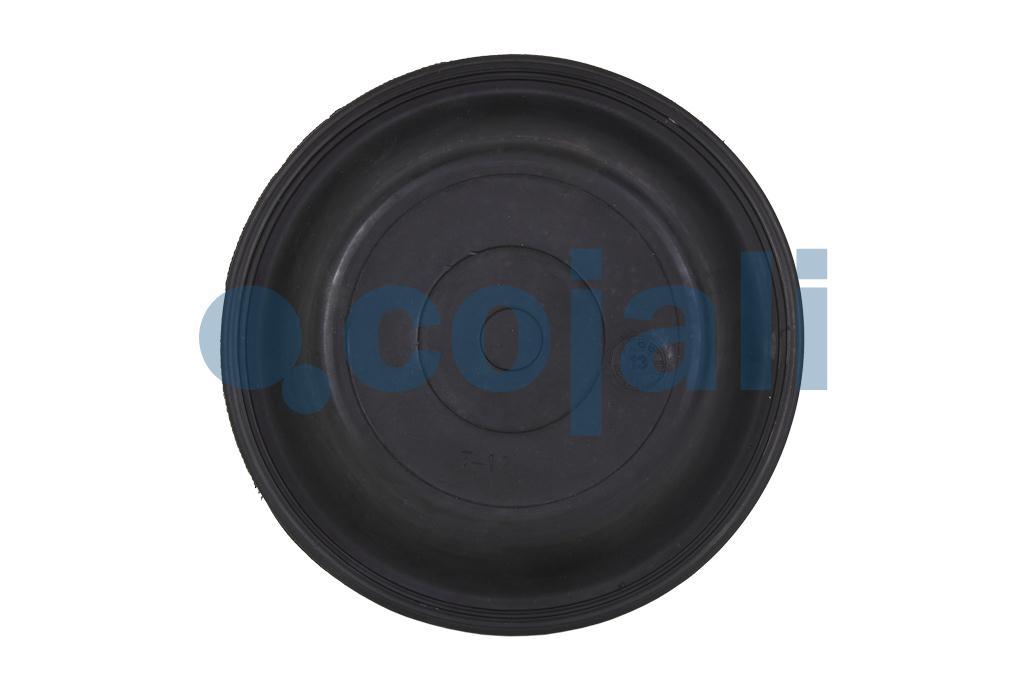 6001103 | 8971205054 | 12" DIAPHRAGM NORMAL STROKE - Cojali Parts