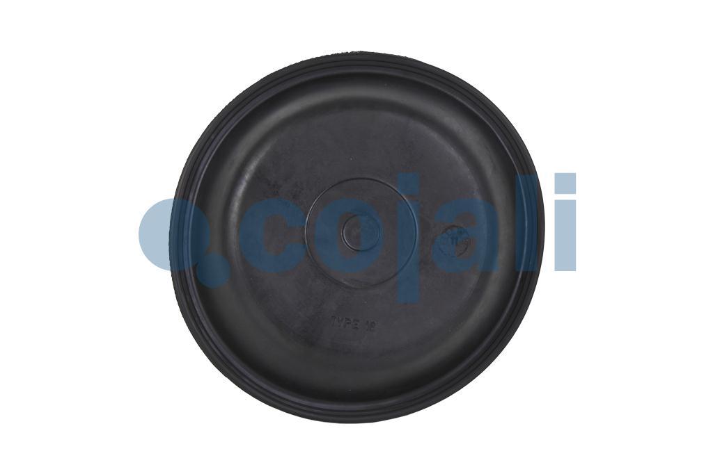 6001108 | 8971205104 | 16" DIAPHRAGM NORMAL STROKE - Cojali Parts