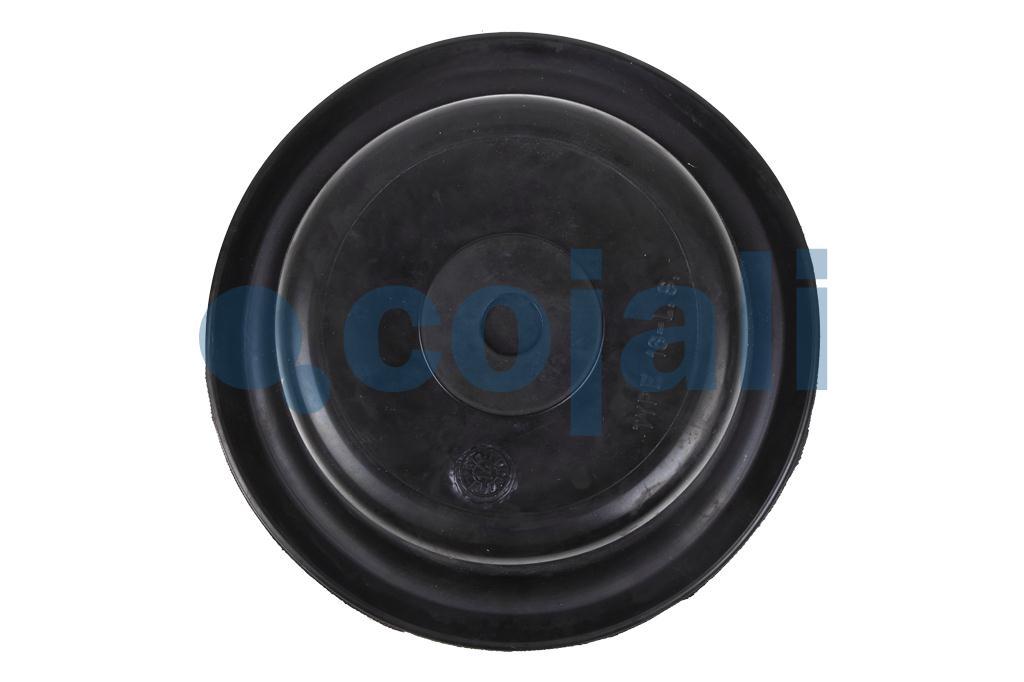 6001109 | 8971205164 | 16" DIAPHRAGM LONG STROKE - Cojali Parts