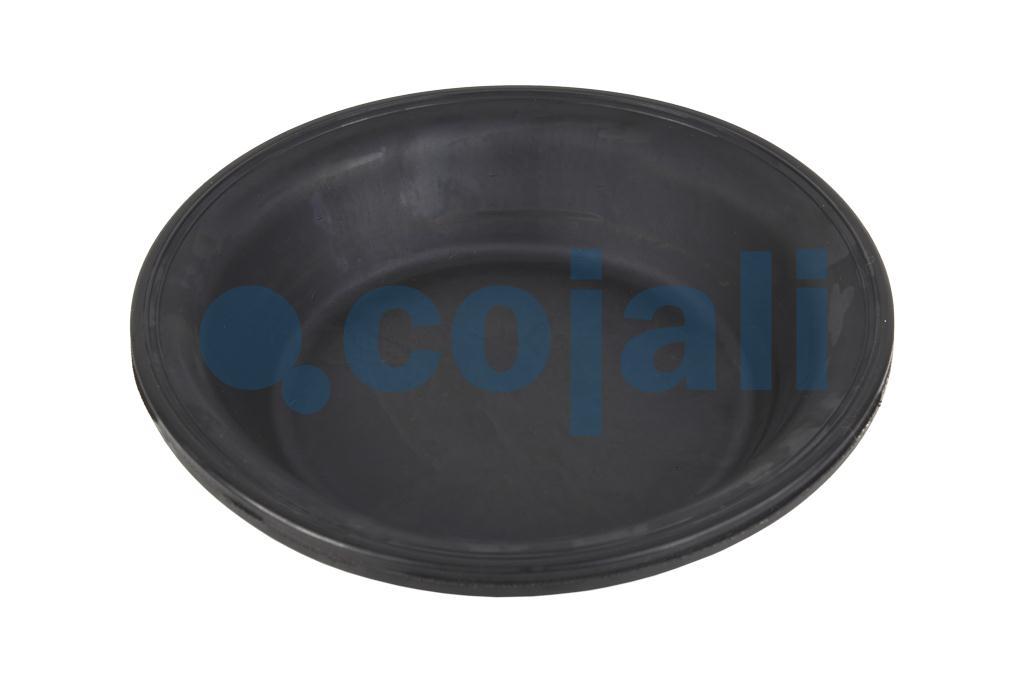 6001112 | 8971205204 | 20" DIAPHRAGM NORMAL STROKE - Cojali Parts
