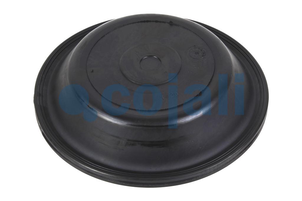 6001112 | 8971205204 | 20" DIAPHRAGM NORMAL STROKE - Cojali Parts
