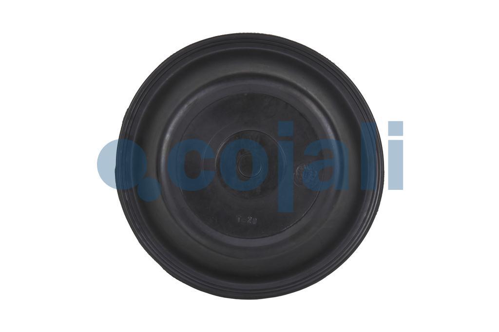 6001112 | 8971205204 | 20" DIAPHRAGM NORMAL STROKE - Cojali Parts