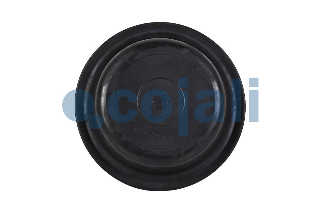 6001113 | 8971205264 | 20" DIAPHRAGM LONG STROKE - Cojali Parts