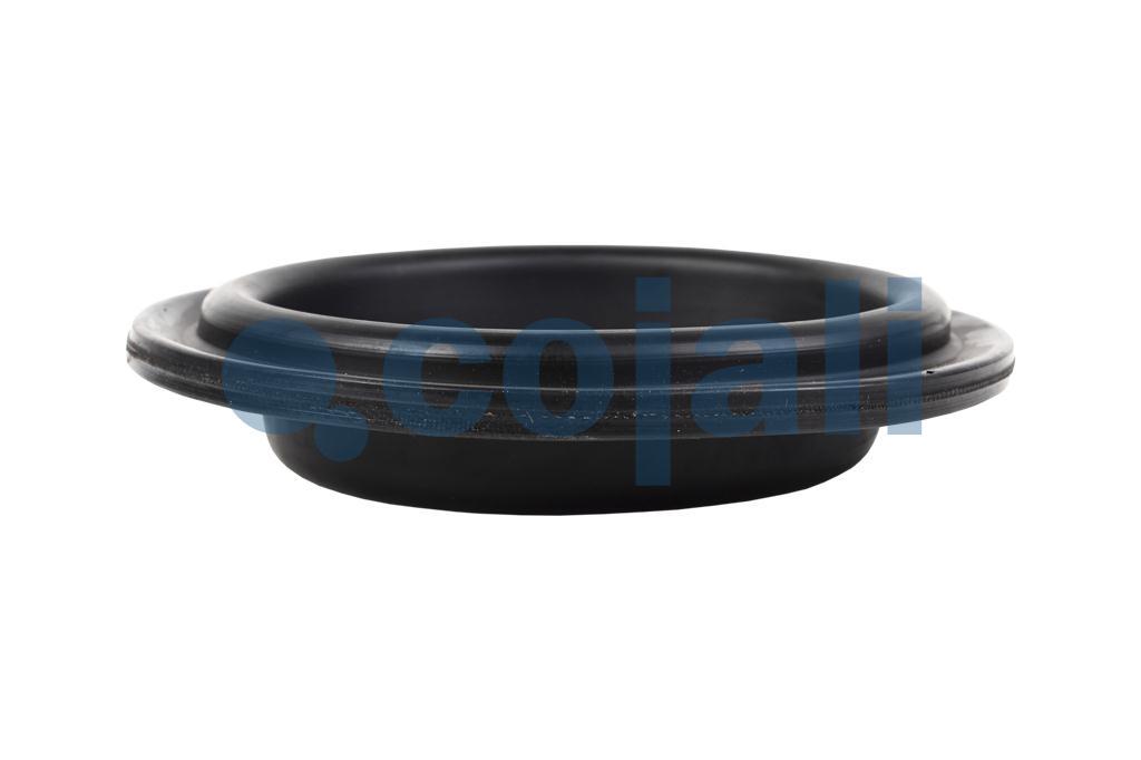 6001118 | 47577017122 | 24" DIAPHRAGM DISC BRAKE - Cojali Parts