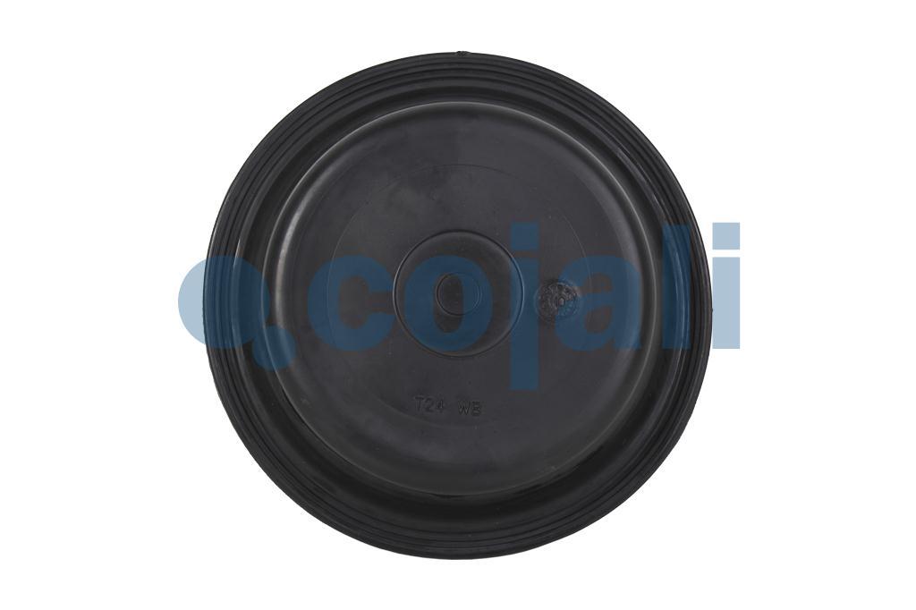 6001119 | 8971205354 | 24" DIAPHRAGM MEDIUM STROKE - Cojali Parts