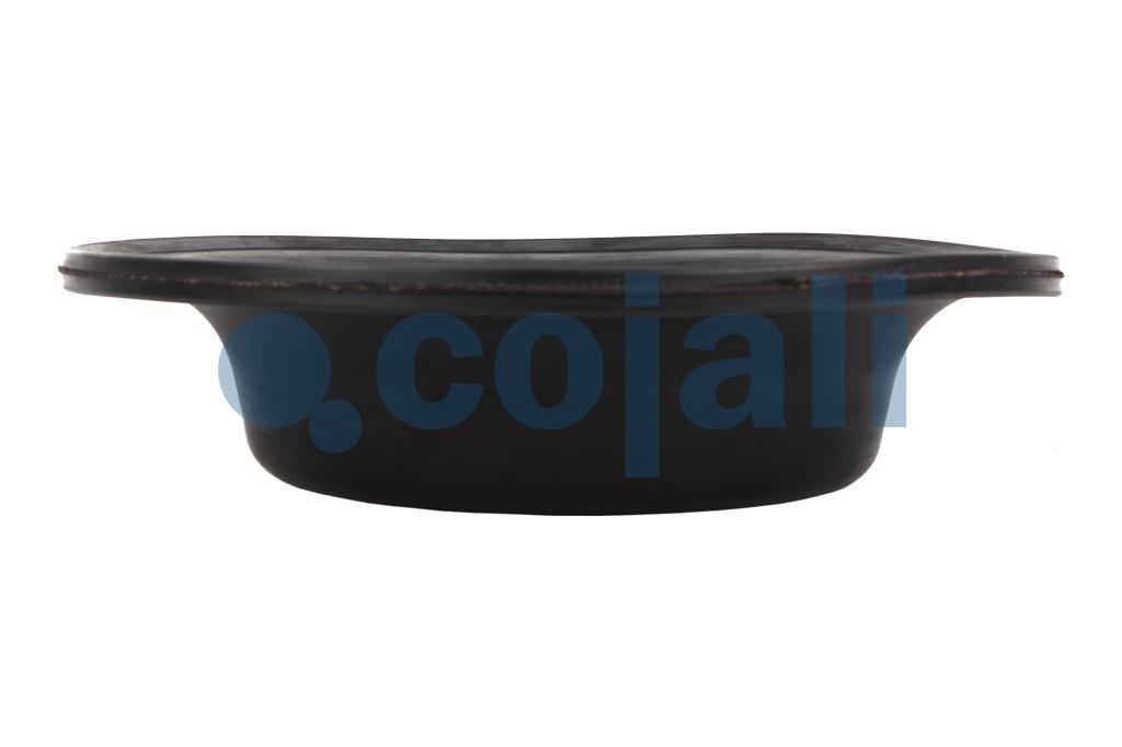 6001120 | 8971205474 | 27" DIAPHRAGM NORMAL STROKE - Cojali Parts