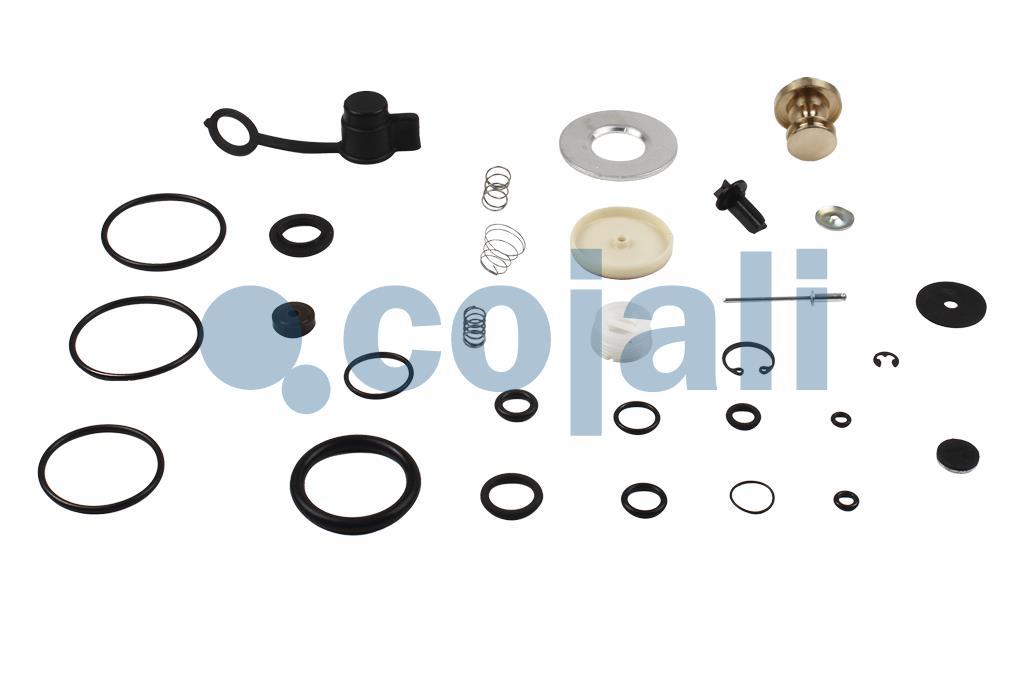 6012021 | NO OEM | VALVE REPAIR KIT - Cojali Parts