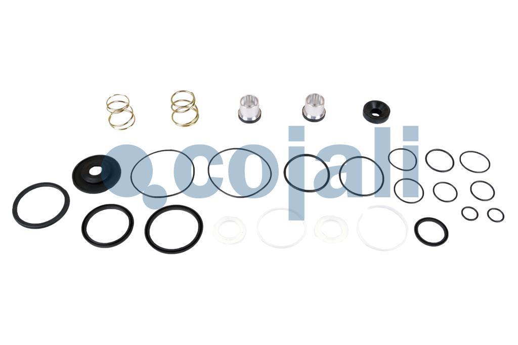 6012022 | 4613190042 | VALVE REPAIR KIT - Cojali Parts