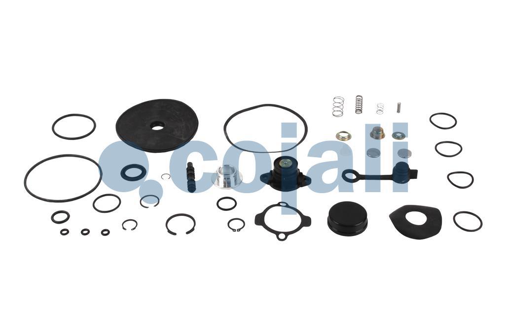 6012030 | 4757110002 | VALVE REPAIR KIT - Cojali Parts