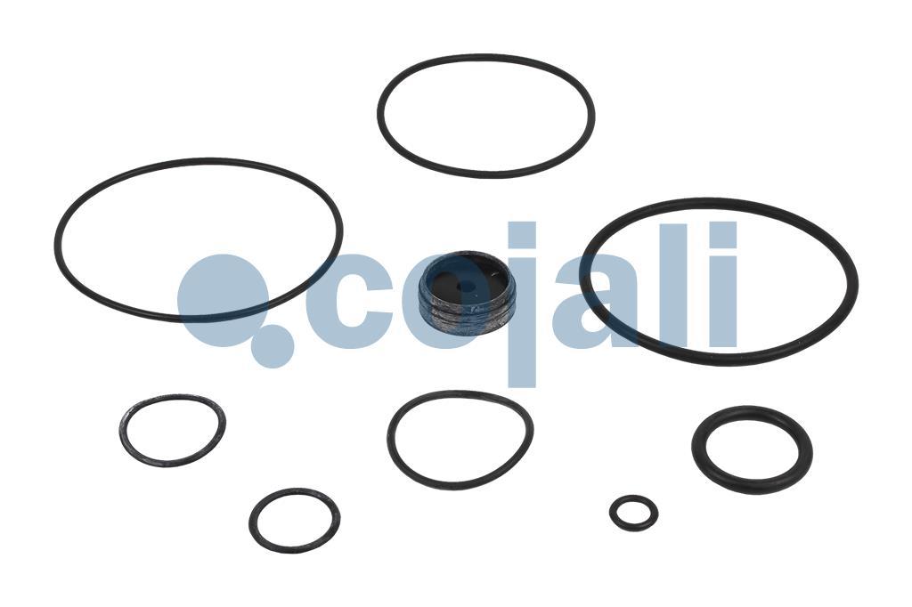 6012033 | 9730110002 | VALVE REPAIR KIT - Cojali Parts