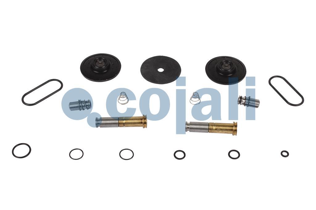 6012045 | NO OEM | VALVE REPAIR KIT - Cojali Parts