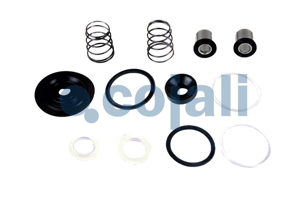 6012051 | 4613190092 | VALVE REPAIR KIT - Cojali Parts