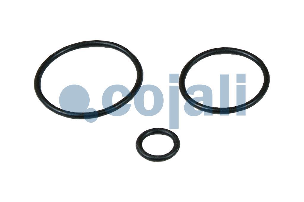 6012078 | 4756040022 | VALVE REPAIR KIT - Cojali Parts