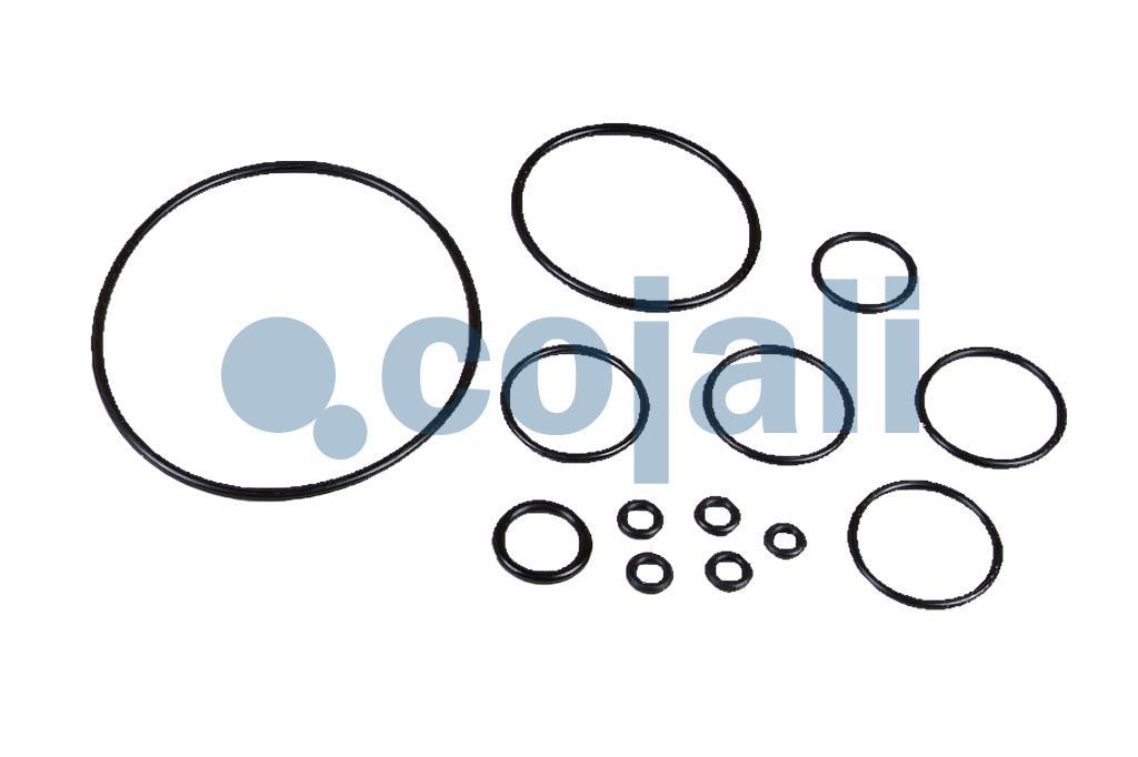 6012080 | 4757110012 | Р/К ПНЕВМАТИЧЕСКОГО КРАНА - Cojali Parts