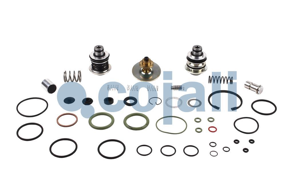 6012082 | 4324310002 | VALVE REPAIR KIT - Cojali Parts