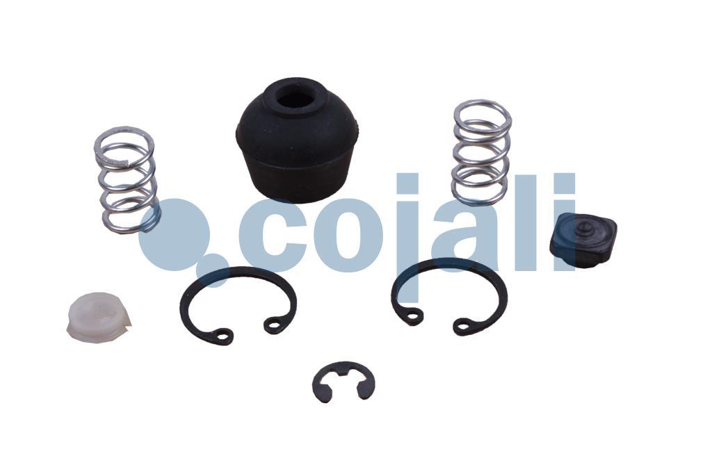 6012088 | 4630130042 | VALVE REPAIR KIT - Cojali Parts
