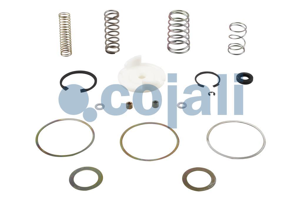 6012095 | 9617010002 | VALVE REPAIR KIT - Cojali Parts