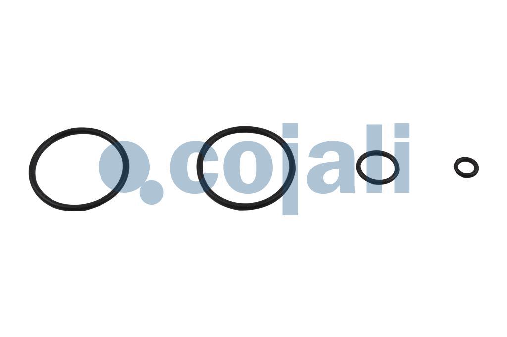 6012095 | 9617010002 | VALVE REPAIR KIT - Cojali Parts