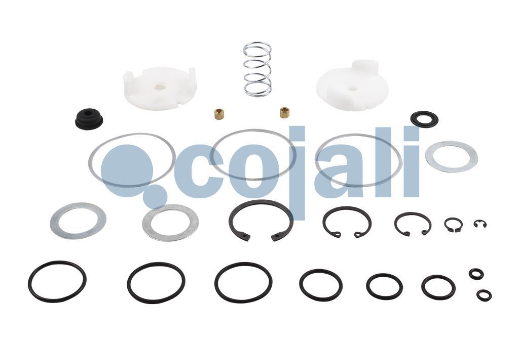 6012101 | 9617050002 | OPRAVÁRENSKÁ SADA VENTILU - Cojali Parts