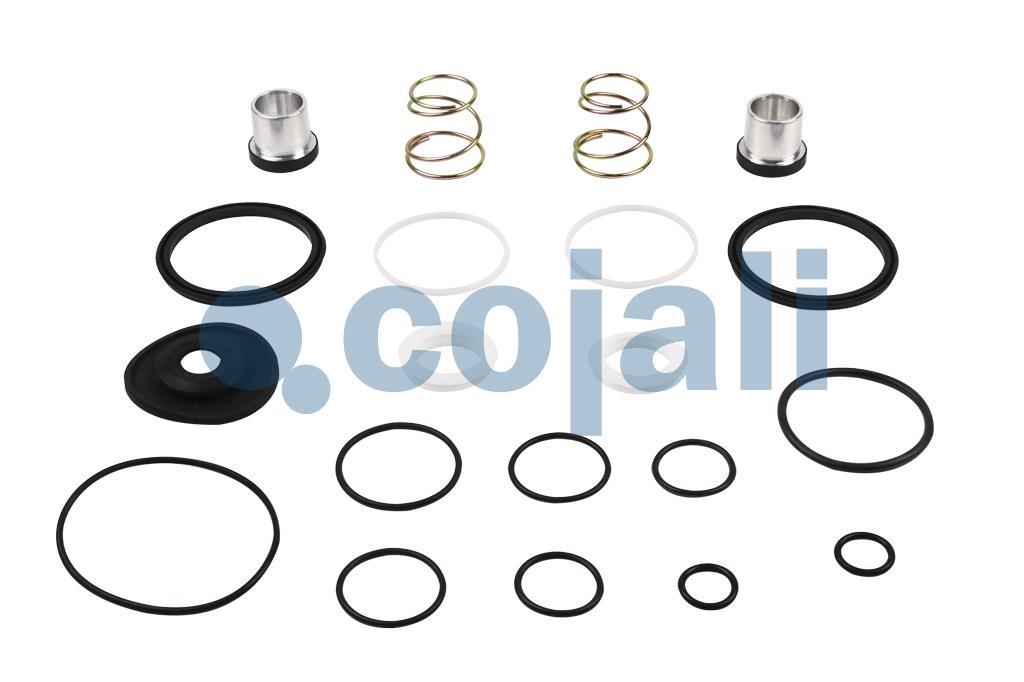 6012107 | 4613159092 | VALVE REPAIR KIT - Cojali Parts