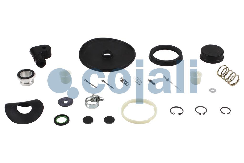 6012109 | 4757120002 | KIT DE REPARACIÓN DE VÁLVULA - Cojali Parts