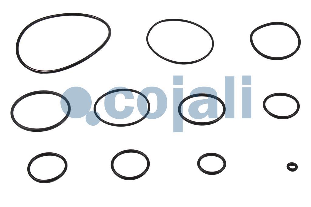 6012109 | 4757120002 | KIT DE REPARACIÓN DE VÁLVULA - Cojali Parts
