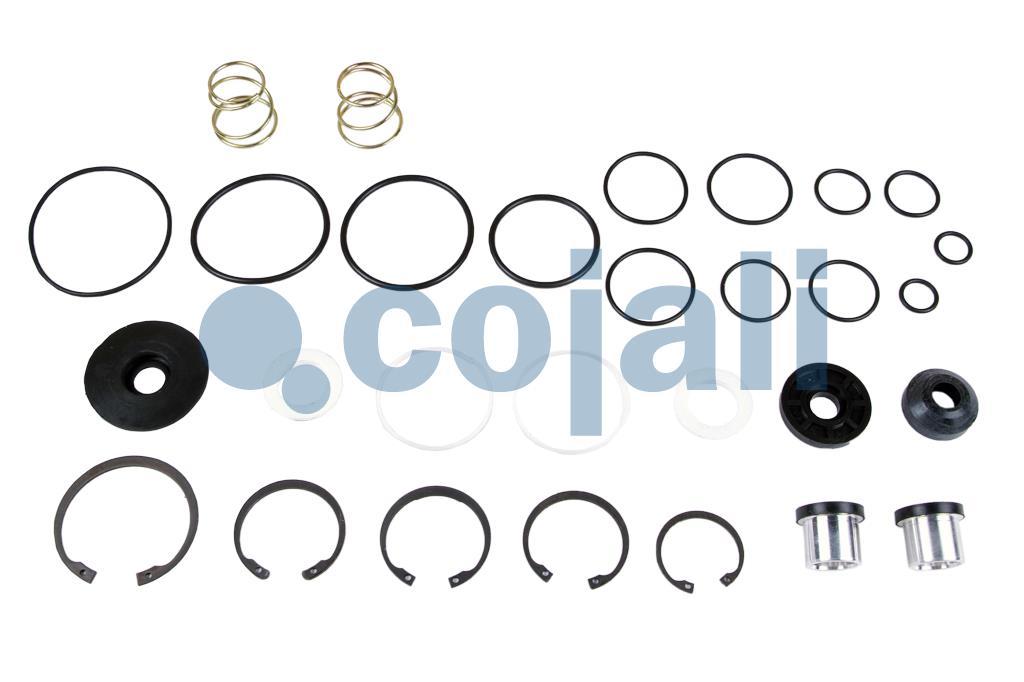 6012124 | 4613150032 | VALVE REPAIR KIT - Cojali Parts