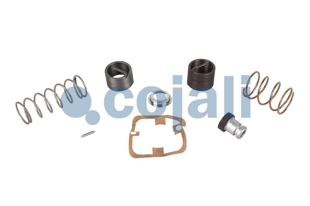 6012139 | 9617220022 | VALVE REPAIR KIT - Cojali Parts