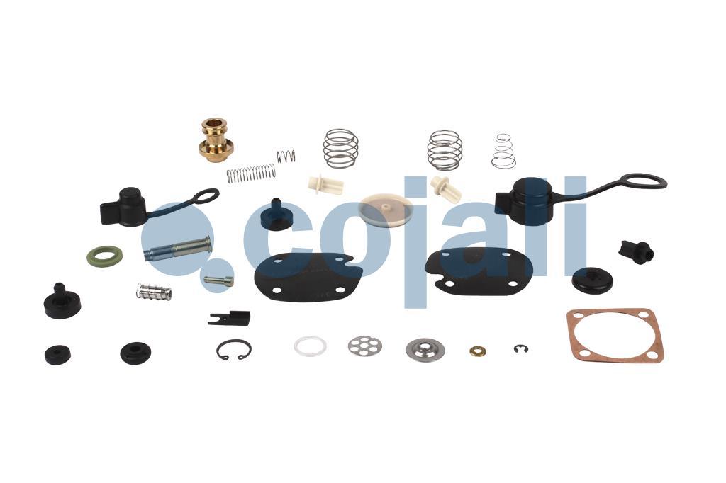 6012147 | NO OEM | KIT DE RÉPARATION DE VALVE - Cojali Parts