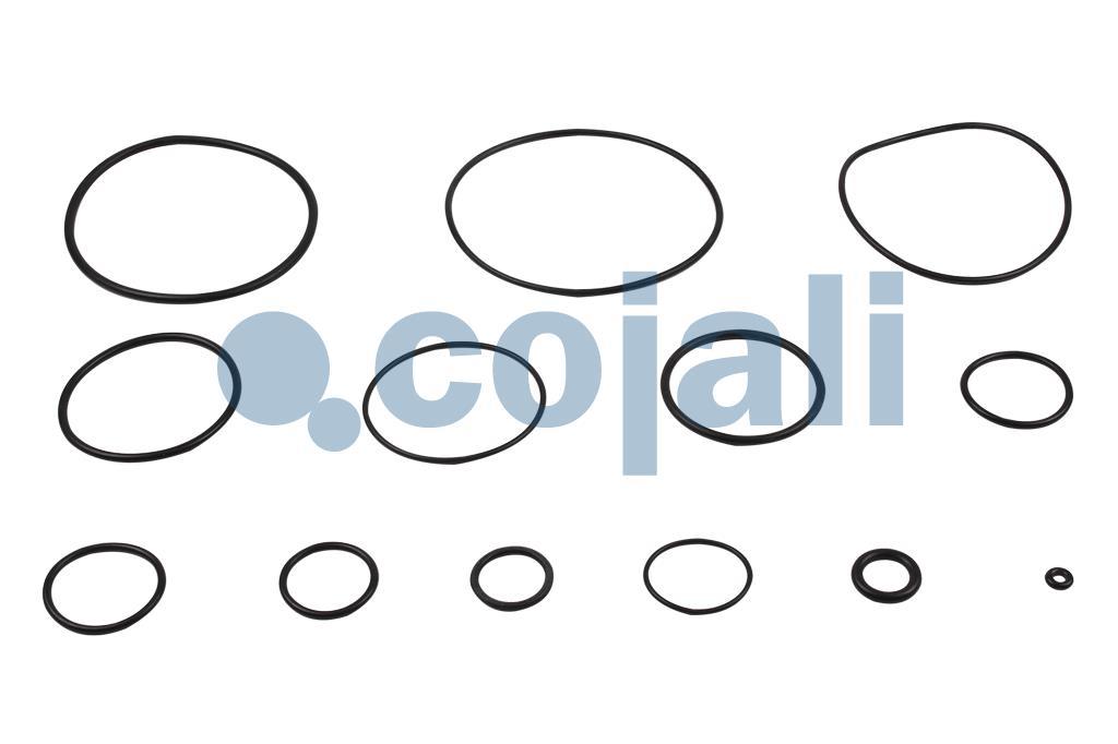 6012152 | 9710020032 | VALVE REPAIR KIT - Cojali Parts