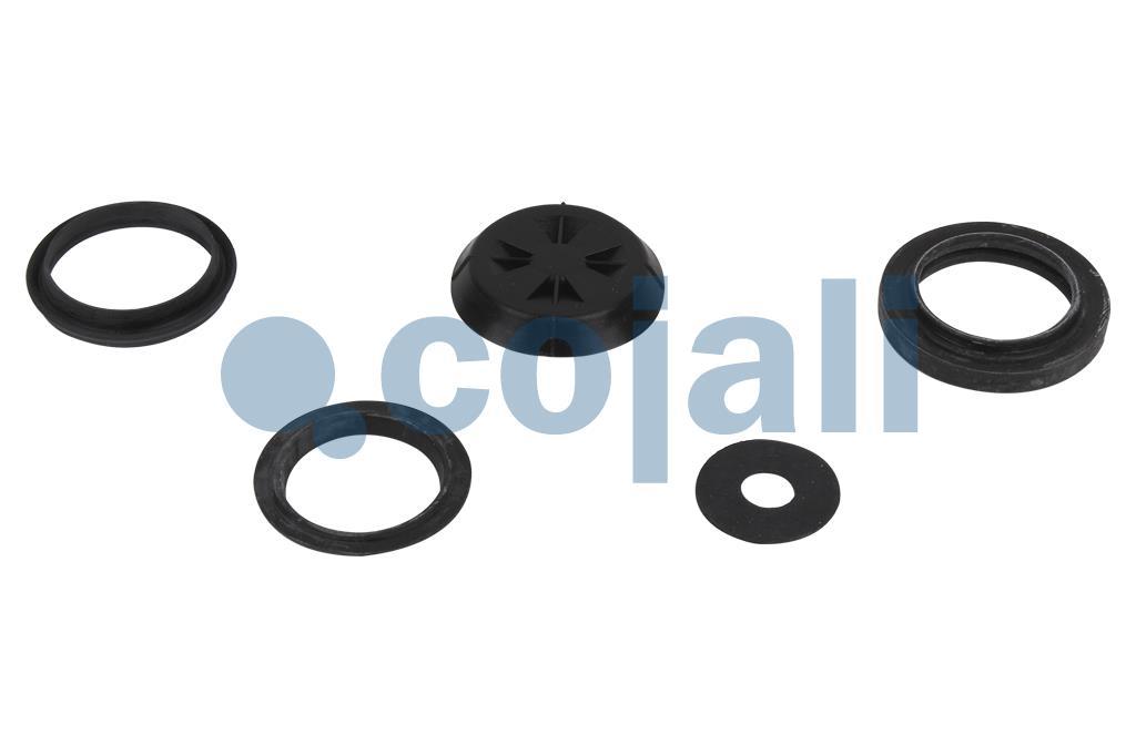 6012182 | 4750150012 | VALVE REPAIR KIT - Cojali Parts