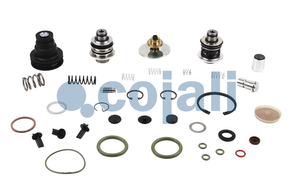 6012217 | 4324320002 | VALVE REPAIR KIT - Cojali Parts