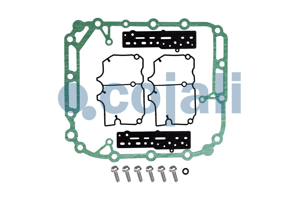 6012219 | 4213659202 | GEARBOX ACTUATOR REPAIR KIT - Cojali Parts