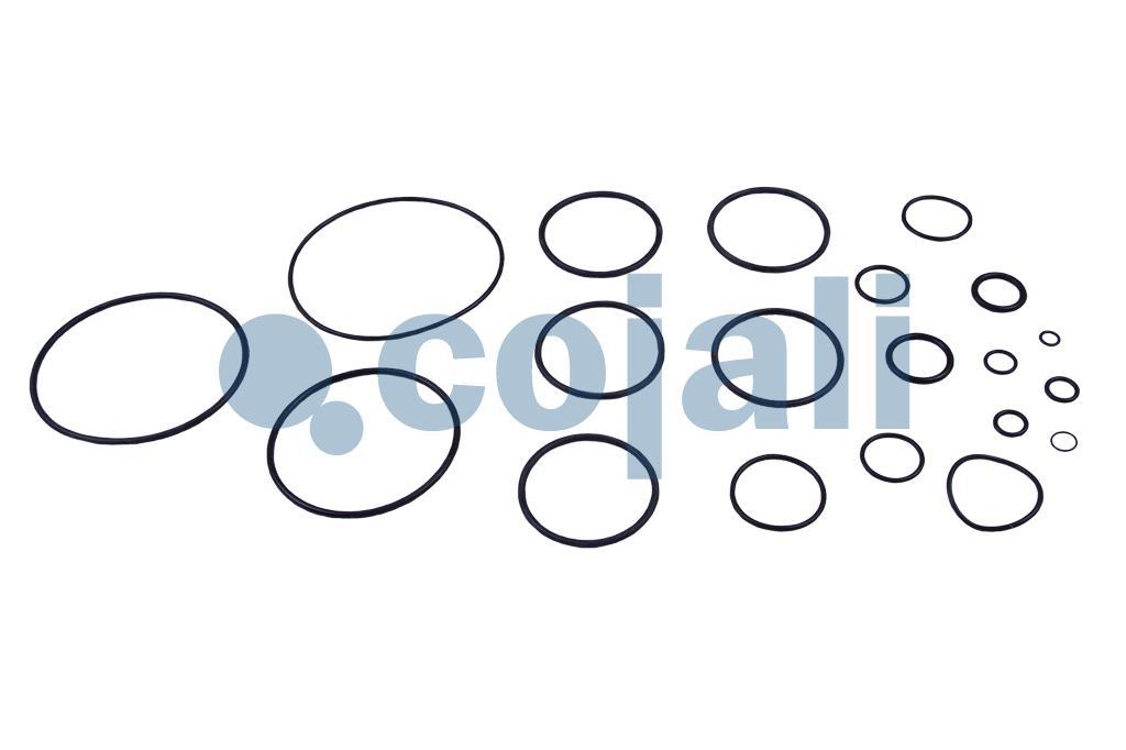 6012240 | 9730090002 | VALVE REPAIR KIT - Cojali Parts