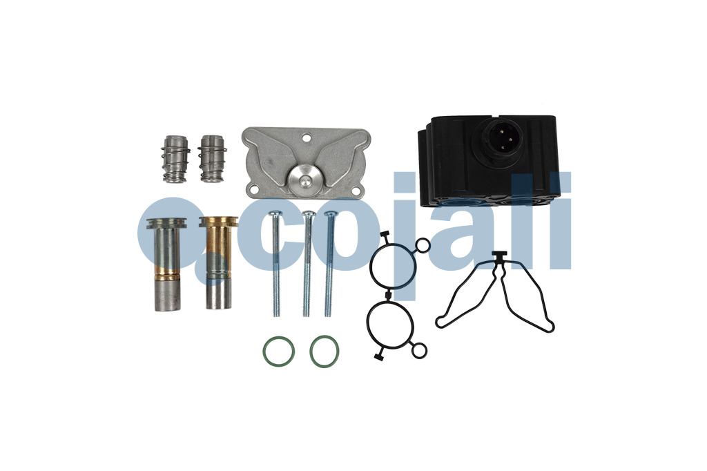 6012264 | 4724000012 | VALVE REPAIR KIT - Cojali Parts