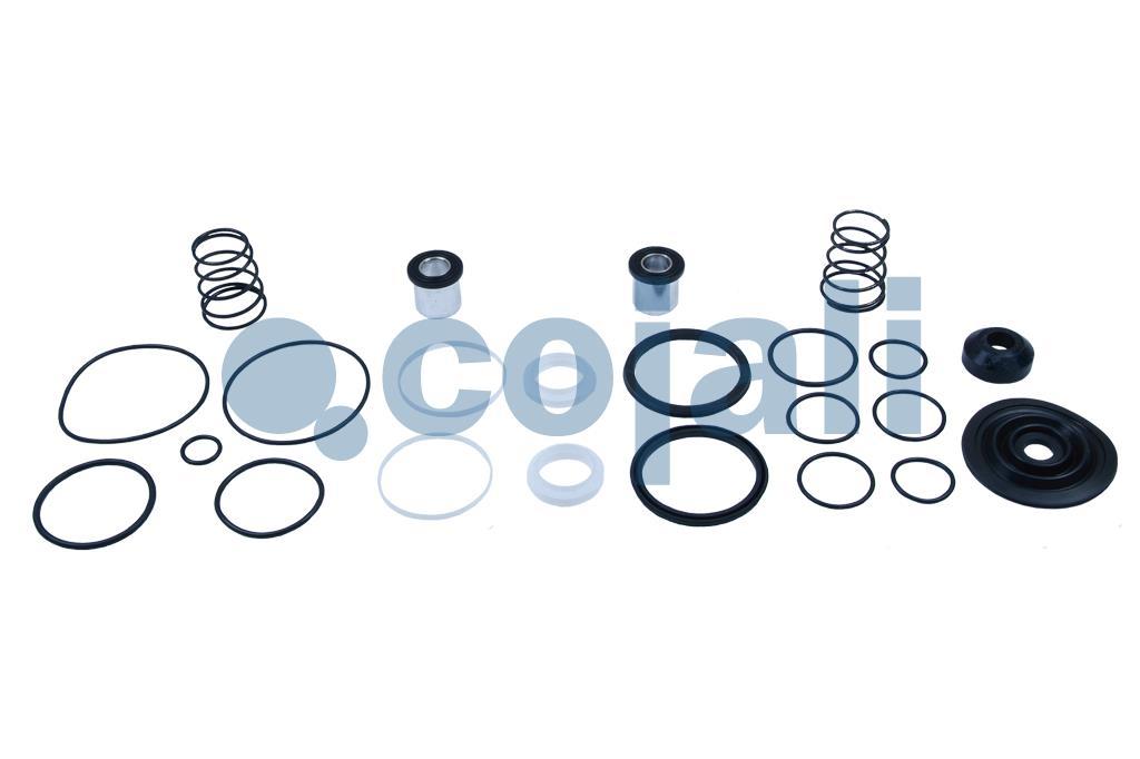 6012265 | 4613199072 | VALVE REPAIR KIT - Cojali Parts