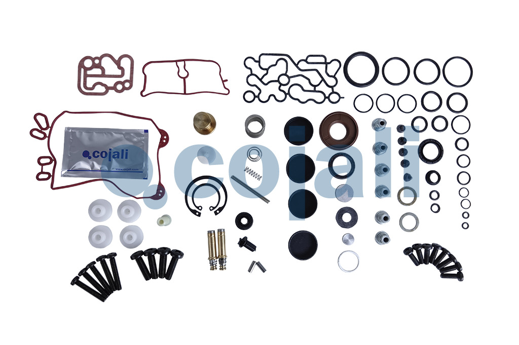 6012285 | 9325109642*X | VALVE REPAIR KIT - Cojali Parts