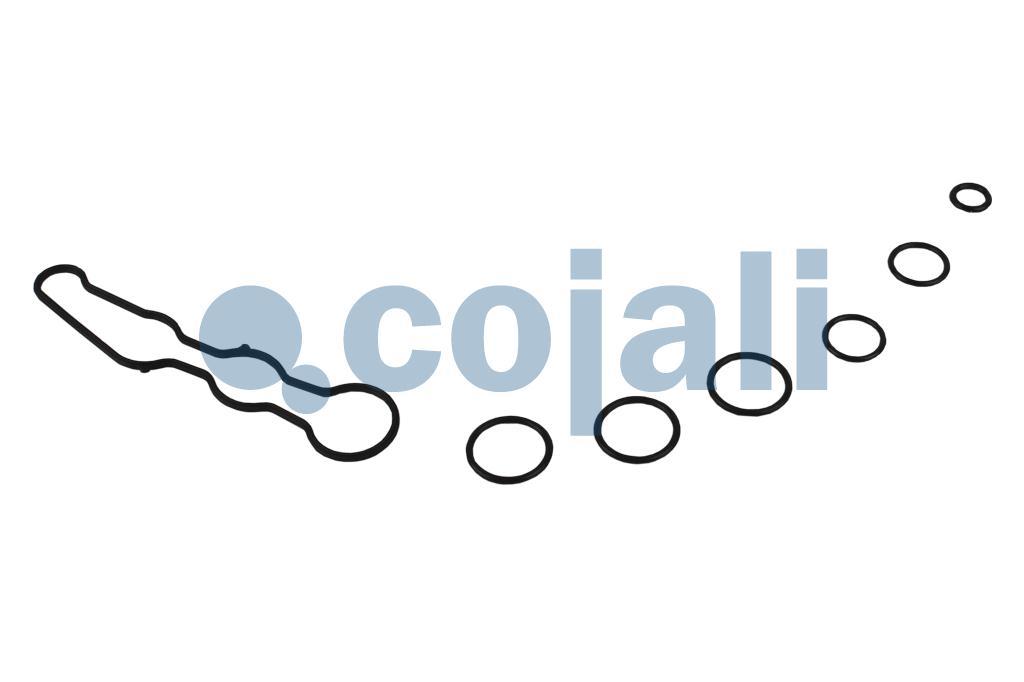 6012291 | 4324259202 | VALVE REPAIR KIT - Cojali Parts