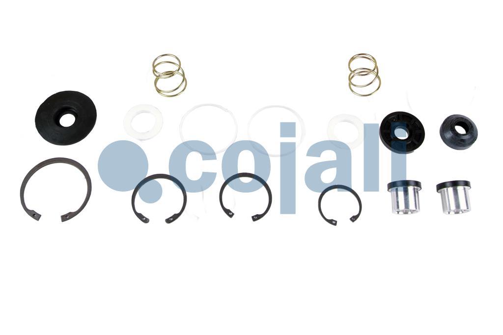 6012296 | 4613159282 | VALVE REPAIR KIT - Cojali Parts