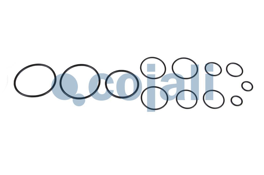 6012296 | 4613159282 | VALVE REPAIR KIT - Cojali Parts
