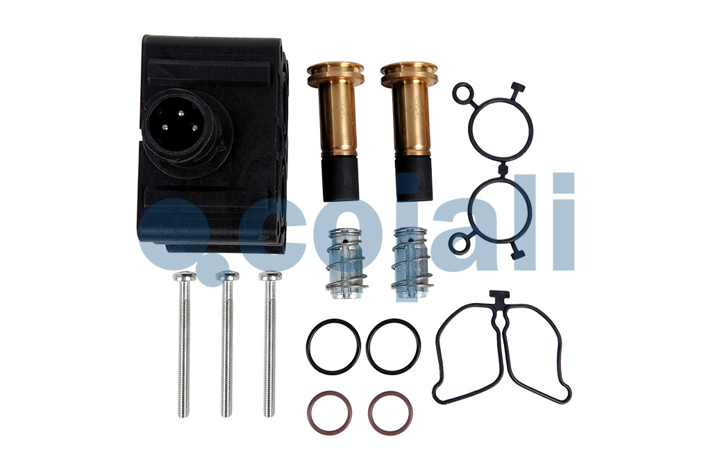 6012309 | 4213509232 | GEARBOX REPAIR KIT - Cojali Parts