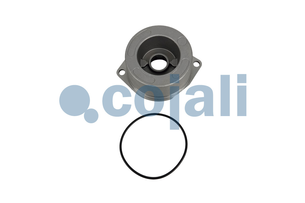 6012325 | 4213659272 | GEARBOX ACTUATOR REPAIR KIT - Cojali Parts