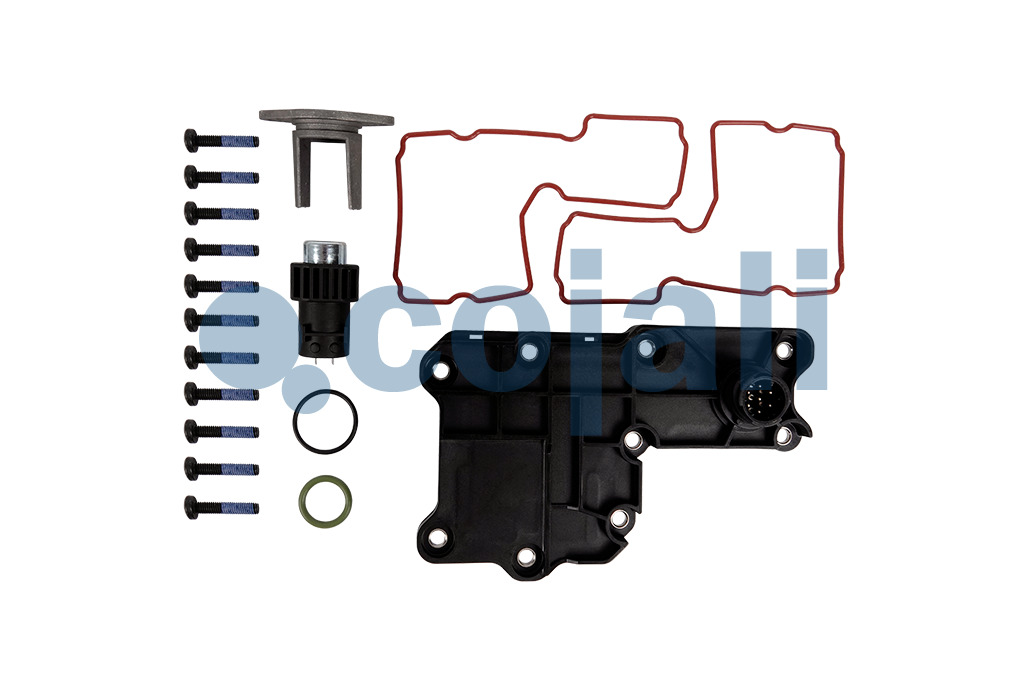 6012330 | 4213509352 | GEARBOX REPAIR KIT - Cojali Parts