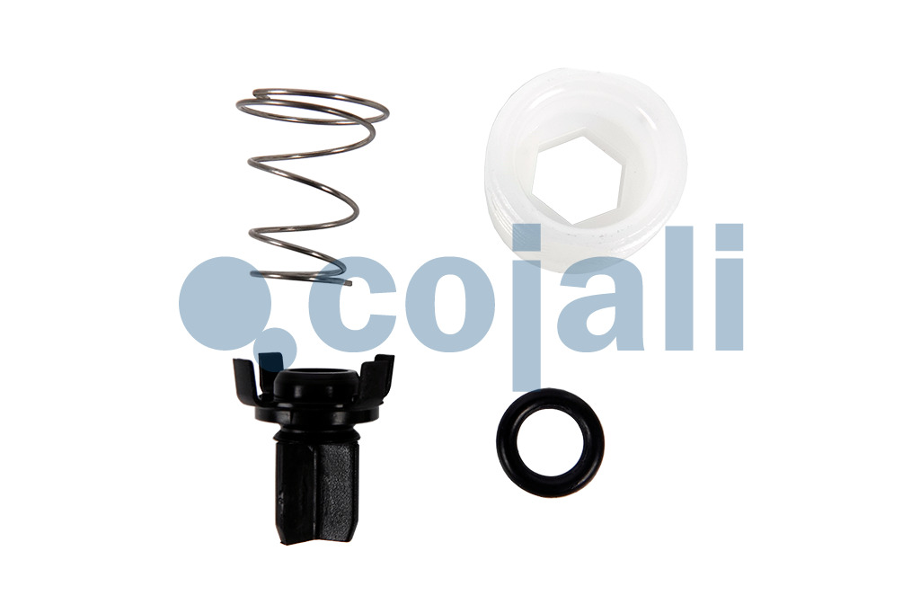 6012335 | 9347059212 | VALVE REPAIR KIT - Cojali Parts