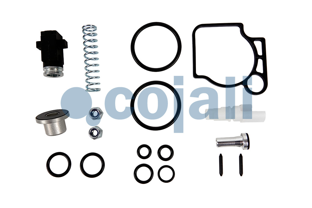 6012338 | 9617230092 | KIT DE REPARACIÓN DE VÁLVULA - Cojali Parts